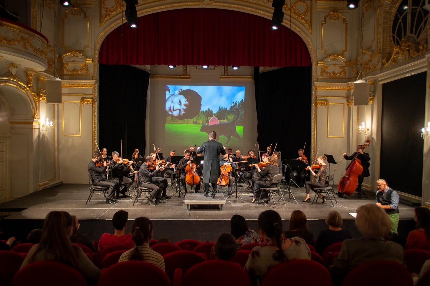Sergej Prokofjev: PETER A VLK | Národné divadlo Košice